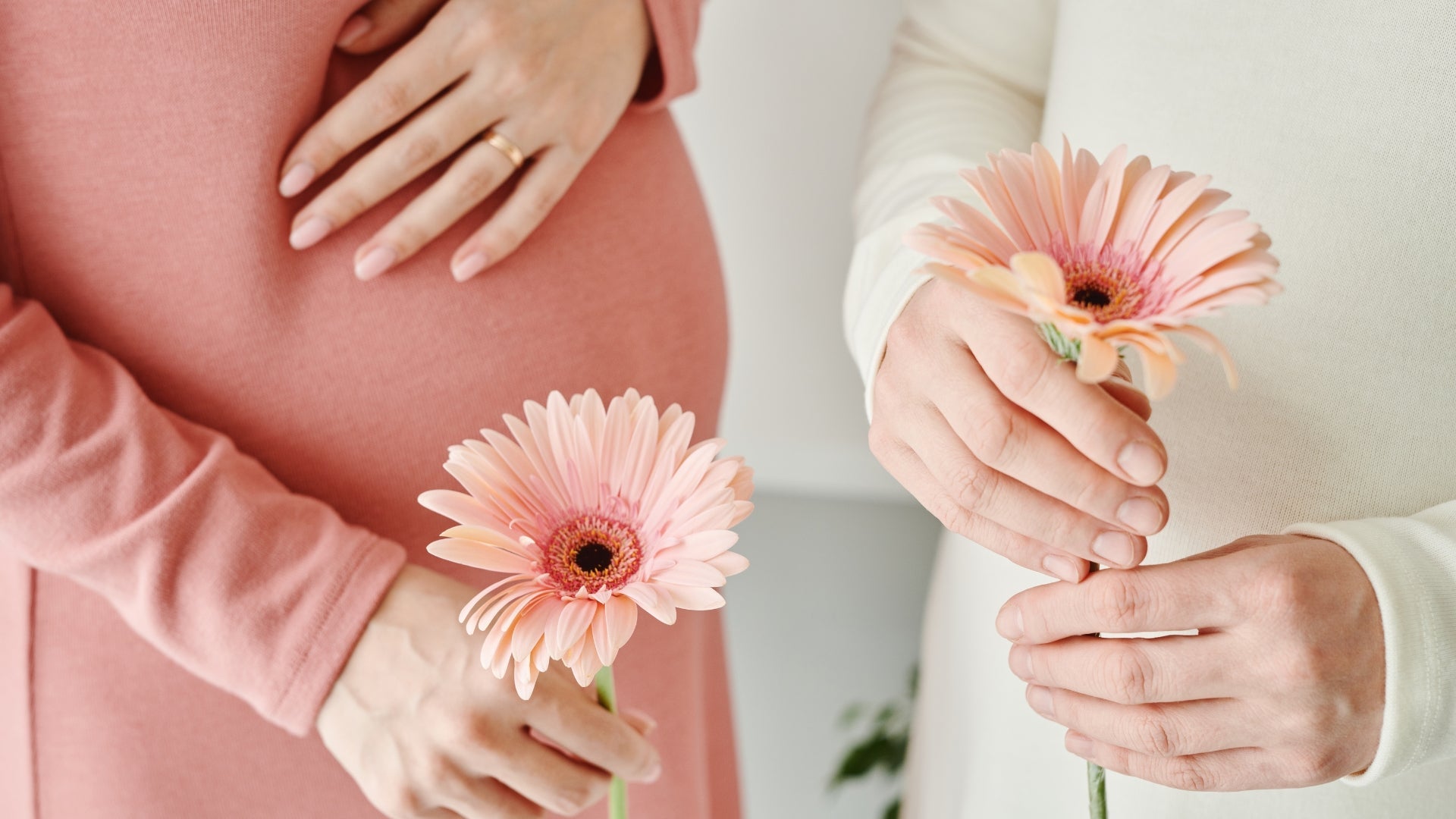 Folate Supplementation, Pregnancy and Fetal Development – Body Kitchen