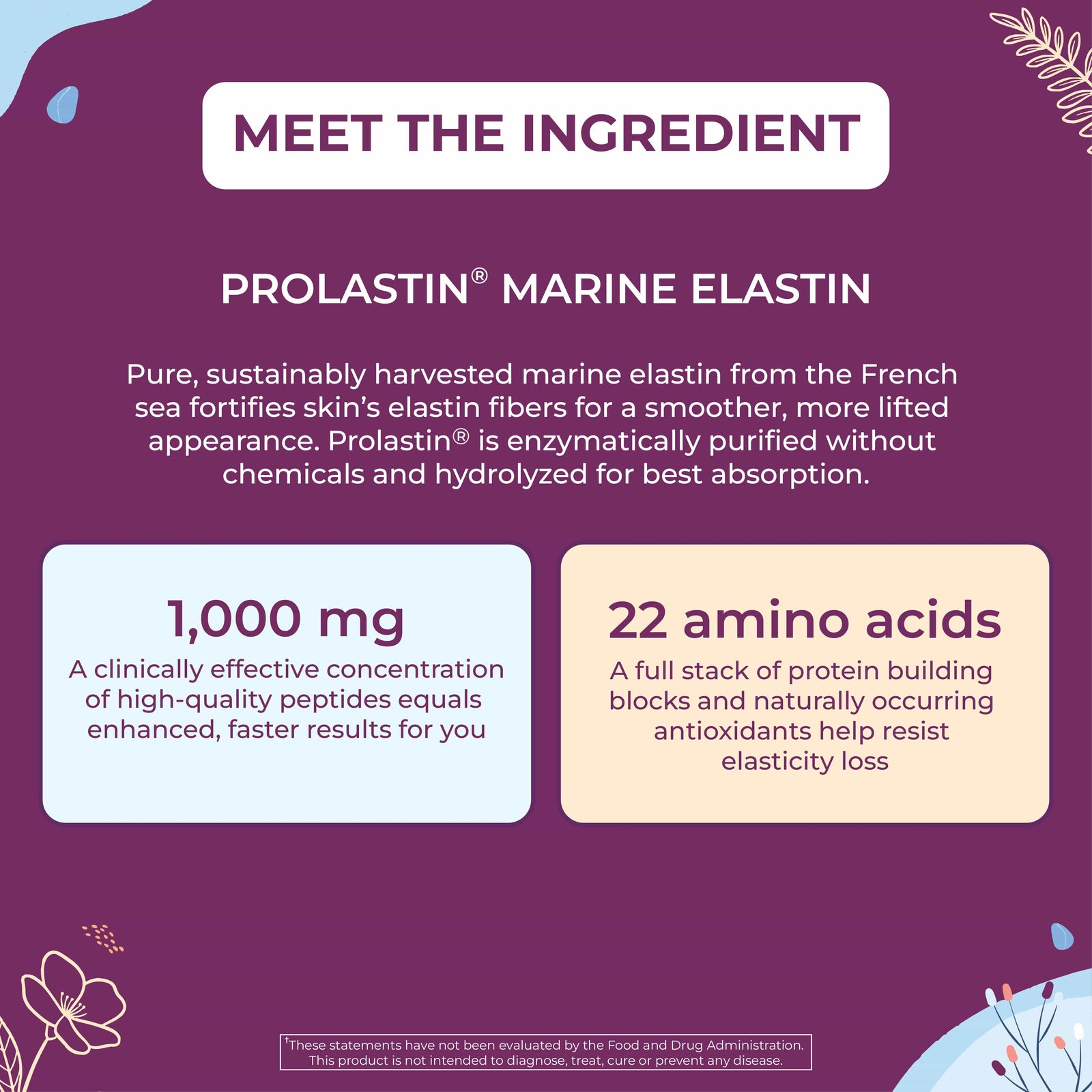 Pro-Elastin Supplement | Boosts Collagen and Elastin | Body Kitchen